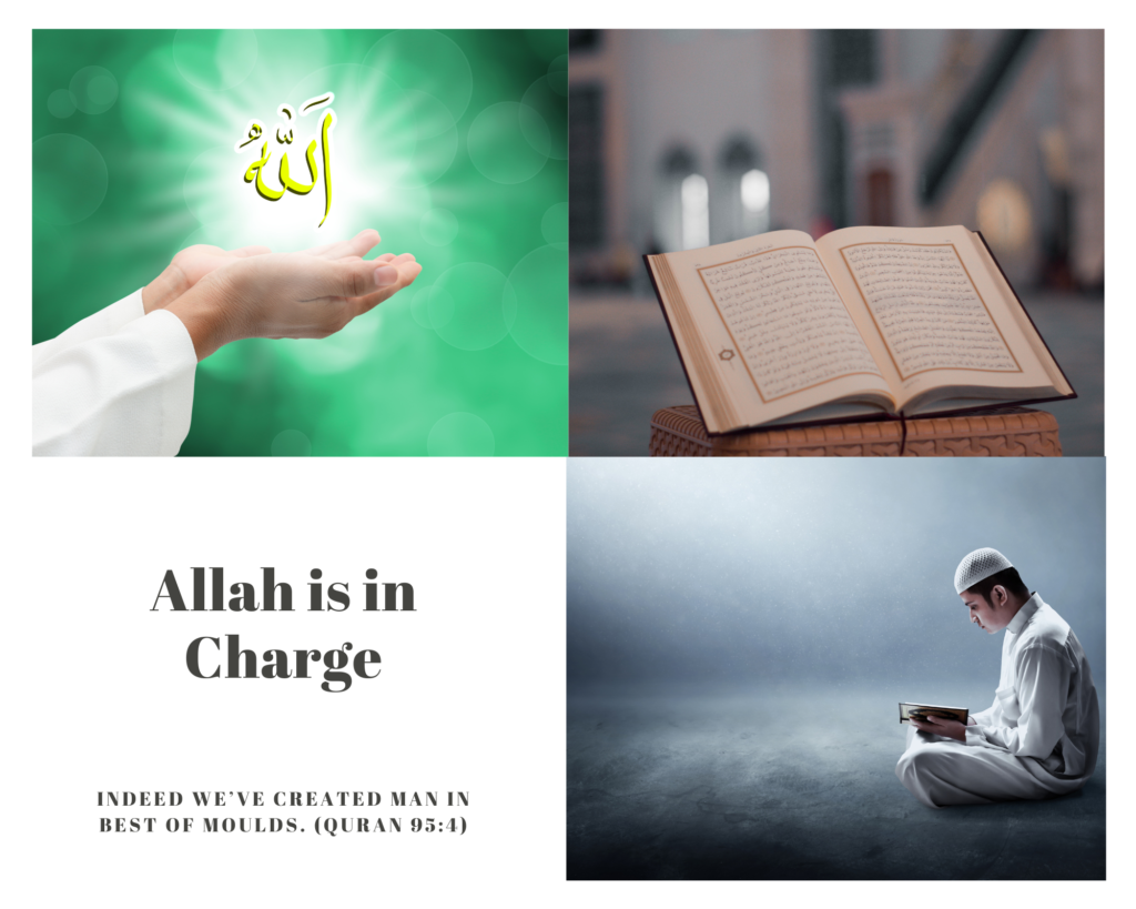 Contentment with Allah’s Decree – The Islamic Seminary of America